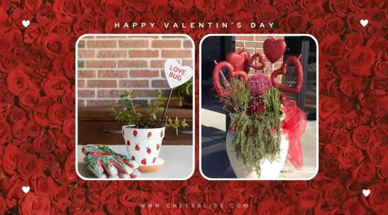 30+ Valentine’s Day Garden Creative Planters Ideas to Your Celebrations ...