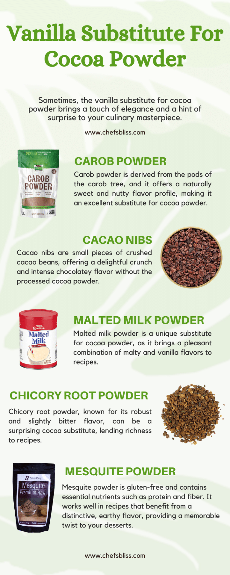 10 Vanilla Substitute For Cocoa Powder You Can Go For – ChefsBliss
