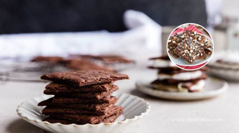 19+ Best Chocolate Graham Crackers Substitutes You Can Go For – ChefsBliss