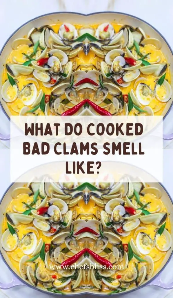 How To Tell If Cooked Clams Are Bad (8 Signs) – ChefsBliss