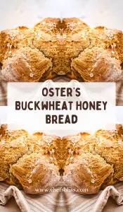 100+ Best Oster Bread Machine Recipes To Try Today! – ChefsBliss