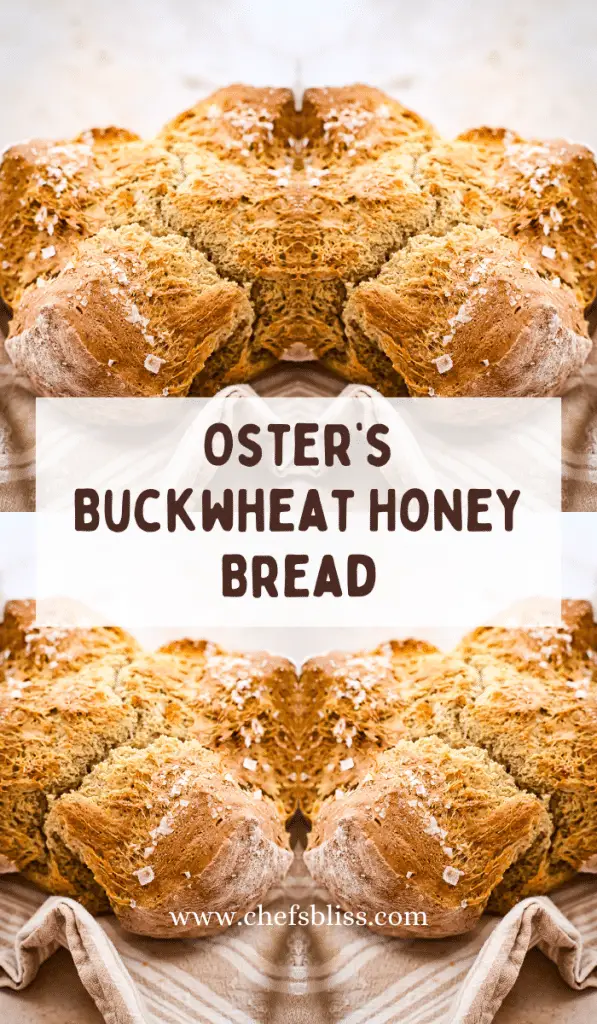 100+ Best Oster Bread Machine Recipes To Try Today! – ChefsBliss