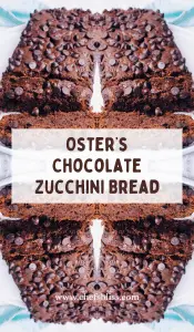 100+ Best Oster Bread Machine Recipes To Try Today! – ChefsBliss