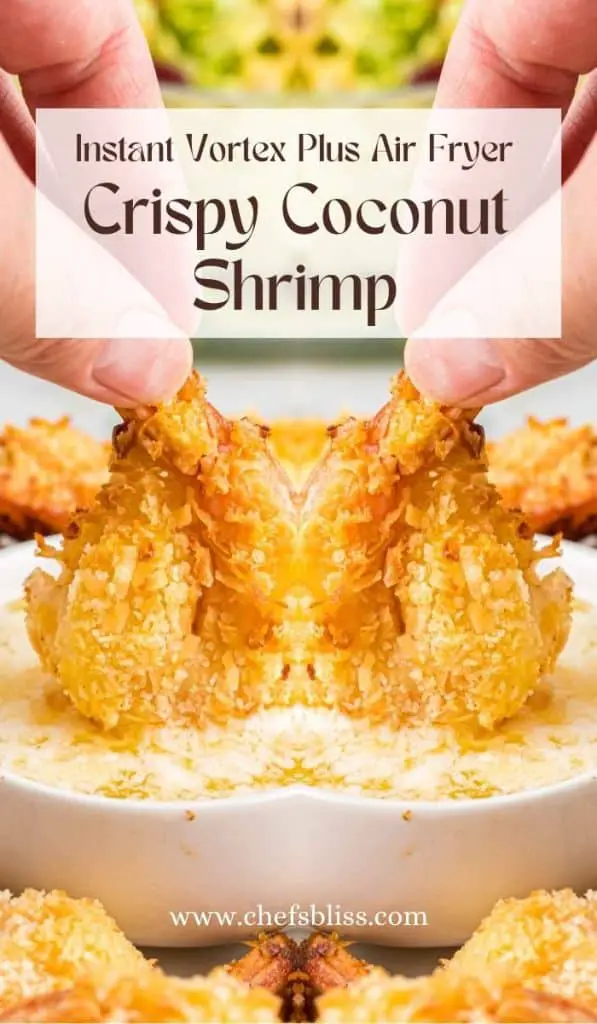 66+ Best Instant Vortex Plus Air Fryer Recipes to Try Now! – ChefsBliss