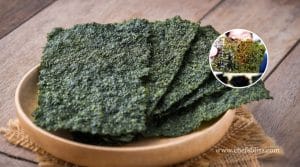 How to Tell If Dried Seaweed is Bad? 6 Ways To Know! – ChefsBliss