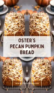 100+ Best Oster Bread Machine Recipes To Try Today! – ChefsBliss