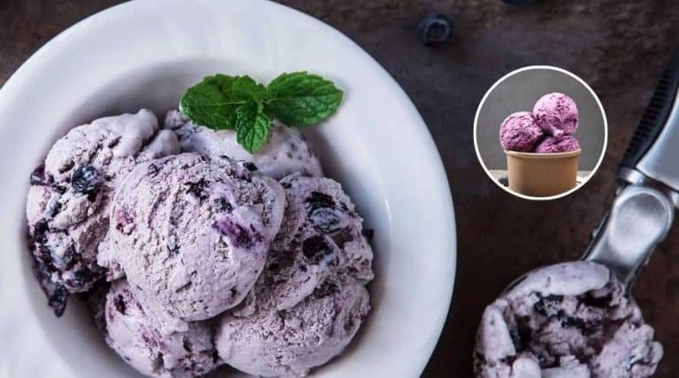 12+ Best Frozen Yogurt Ice Cream Maker Recipes to Try Now! – ChefsBliss