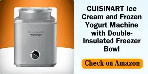 15+ Best Dash Ice Cream Maker Recipes to Try Now! – ChefsBliss