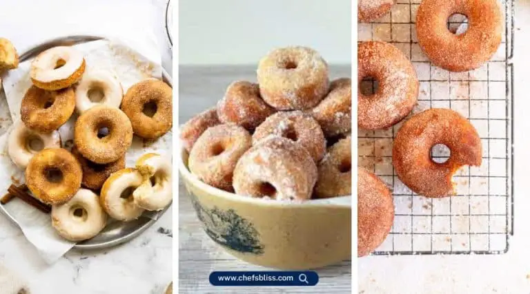 22+ Irresistible Dash Express Mini Donut Maker Recipes for Every ...