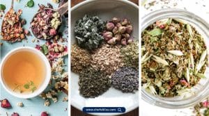 50+ Refreshing Winter Tea Blend Recipes to Keep You Warm – ChefsBliss