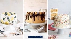 50+ Irresistible Lunch Box Cake Recipes for Every Occasion – ChefsBliss