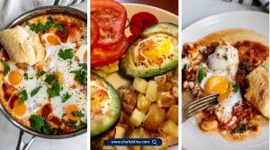 25+ Delicious Dutch Oven Breakfast Egg Recipes You’ll Love – ChefsBliss