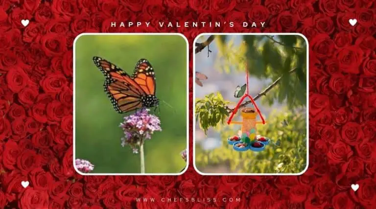 27+ Valentine’s Day Garden Butterfly Feeder Ideas to Celebrate Love in ...