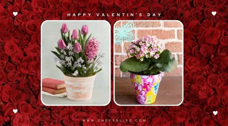 28+ Valentine’s Day Garden Clay Pots Ideas to Add Romance to Your ...
