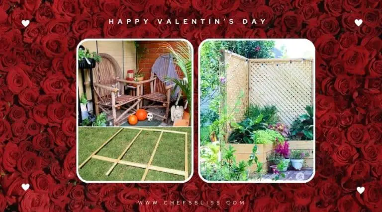 26+ Stunning Valentine’s Day Garden Privacy Screen Ideas for a Romantic ...