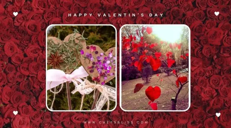 28+ Romantic Valentine’s Day Nature Retreat Ideas to Celebrate Love ...