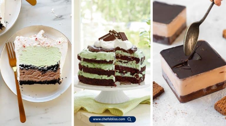 40+ Delicious Chocolate Ice Cream Cake Recipes to Satisfy Your Sweet ...