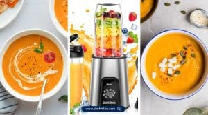 40+ Comforting Instant Pot Blender Recipes for Every Palate – ChefsBliss