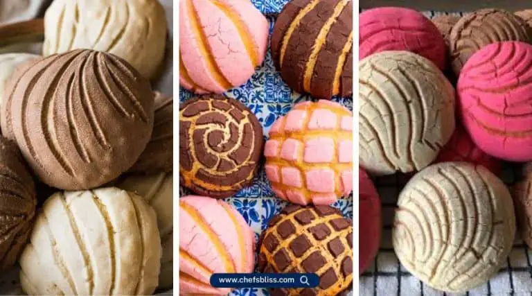 25+ Nutritious Mexican Bread Conchas Recipes You Need to Try – ChefsBliss