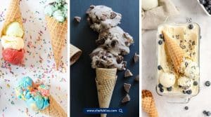 26+ Quick & Nutritious Oster Ice Cream Maker Recipes You Have to Try ...