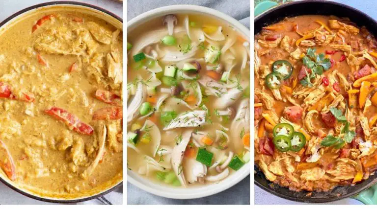 26+ Delicious Summer Leftover Chicken Recipes You’ll Love – ChefsBliss