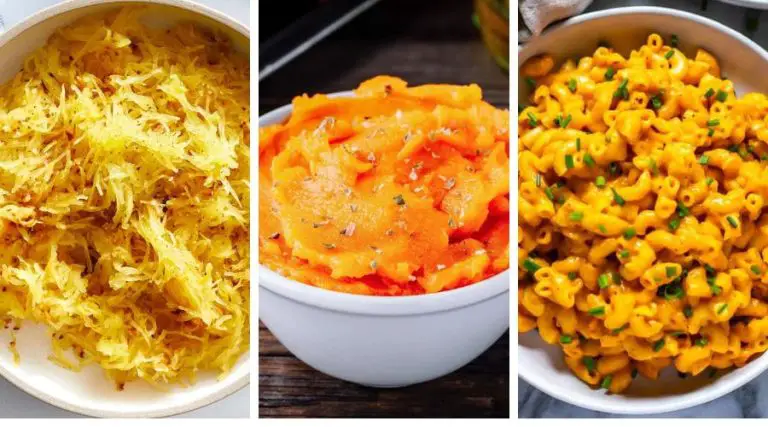 24+ Delicious Summer Squash Freezer Recipes You Need to Try – ChefsBliss